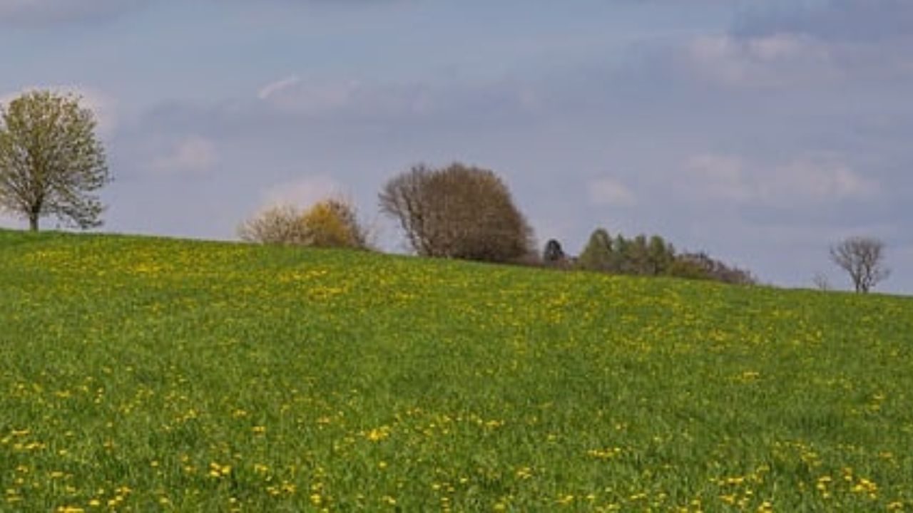 14 Interesting Facts About Pakistan: A Country Of Rich History And ...