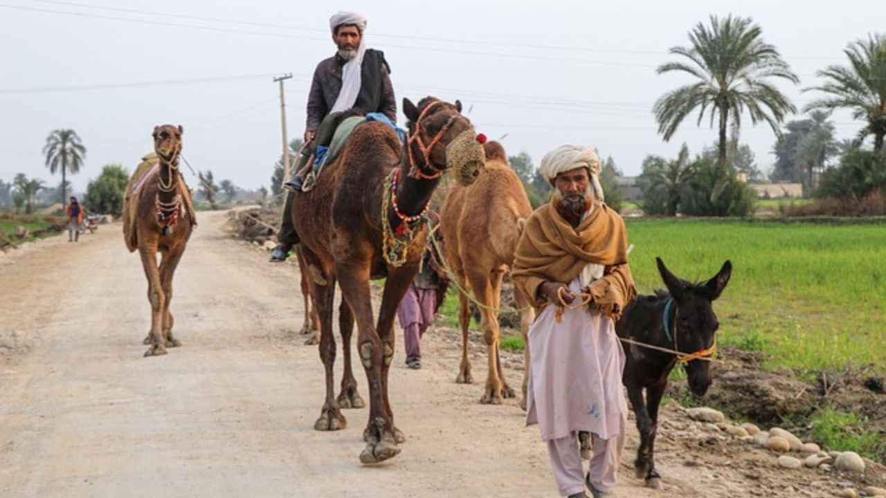 14 Interesting Facts About Pakistan: A Country Of Rich History And ...