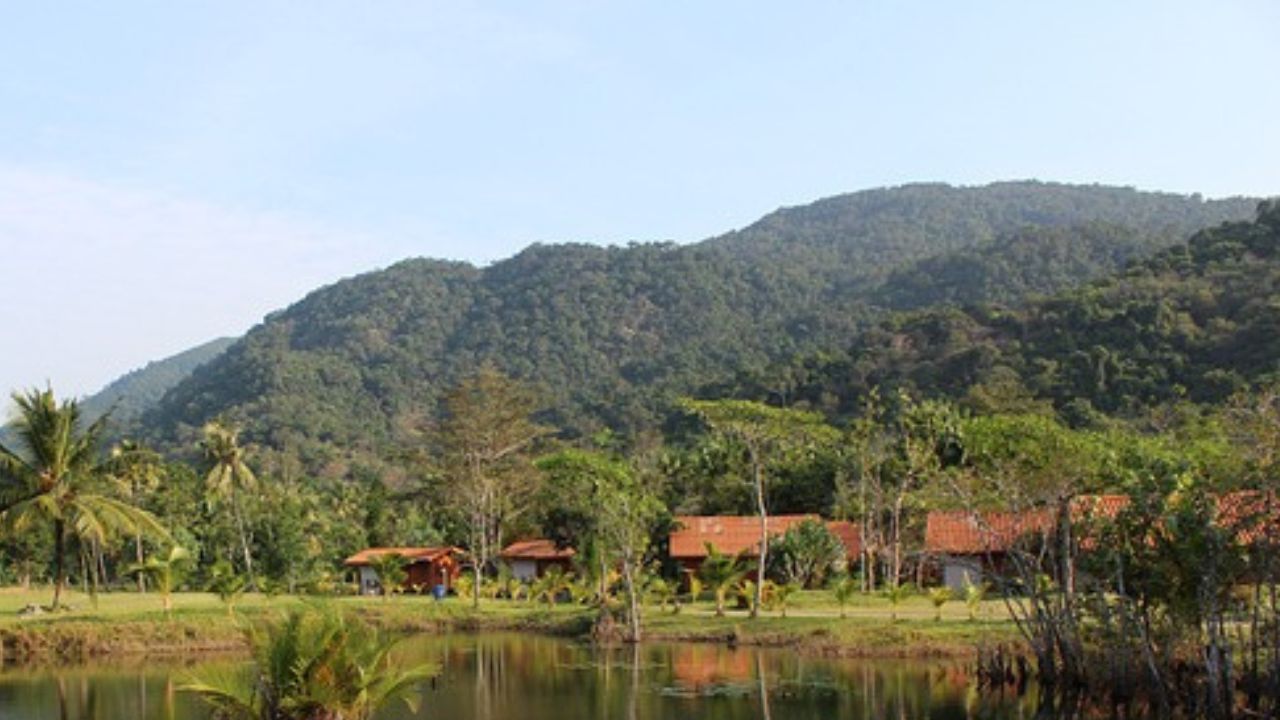 15 Interesting Facts About Ecuador That Will Blow Your Mind! - Skillsoon