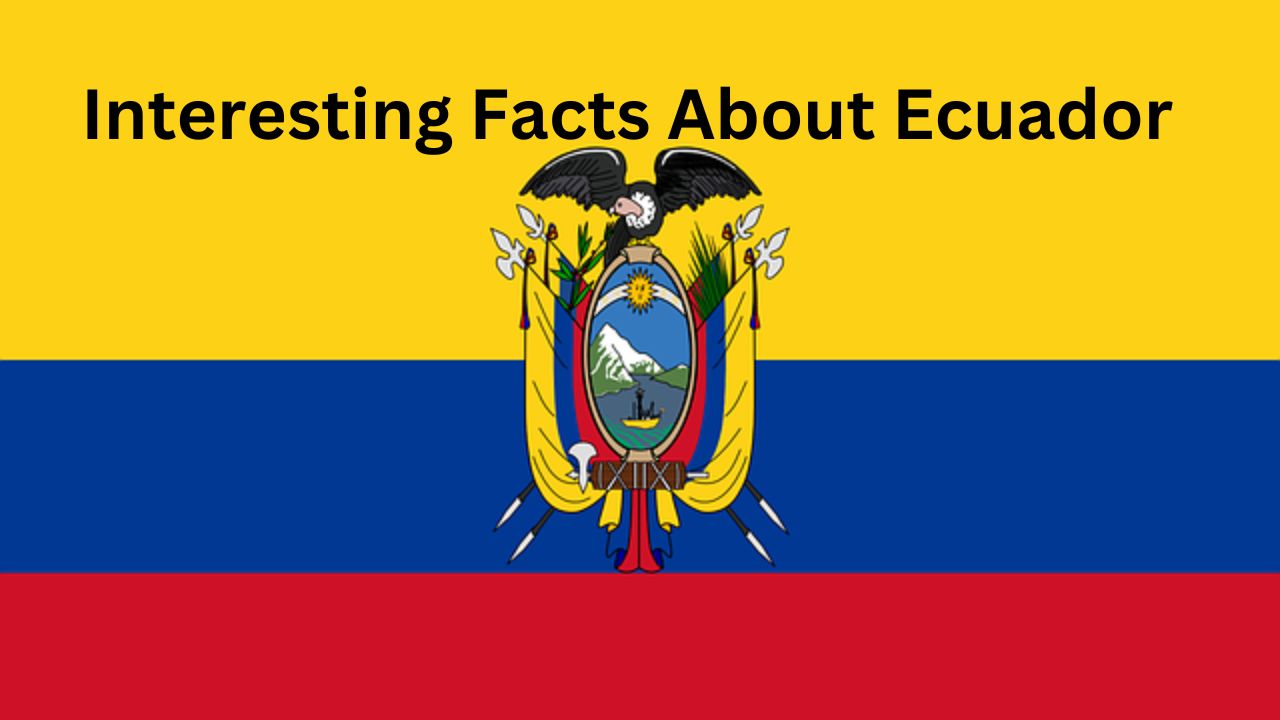 15 Interesting Facts About Ecuador That Will Blow Your Mind! - Skillsoon
