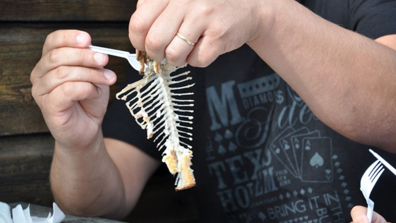 5 Powerful Facts: Do Fish Bones Dissolve In Stomach? - Skillsoon