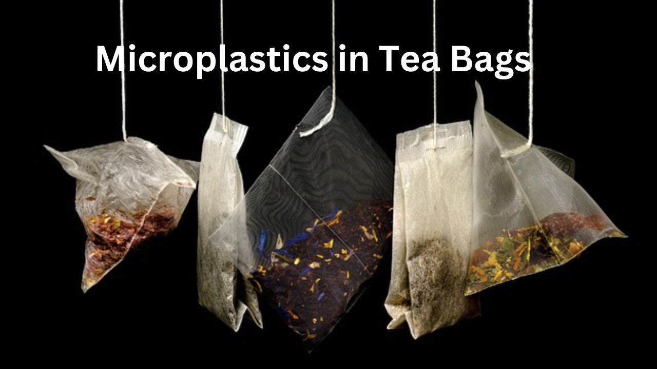 7 Shocking Facts About Microplastics In Tea Bags And How To Avoid Them ...