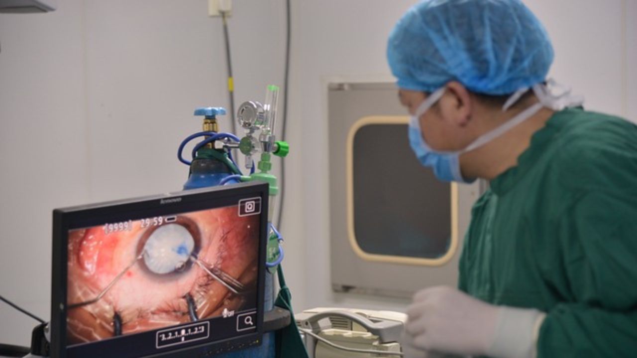 10 Powerful Facts About Cataracts In Cats: Causes, Symptoms, And ...